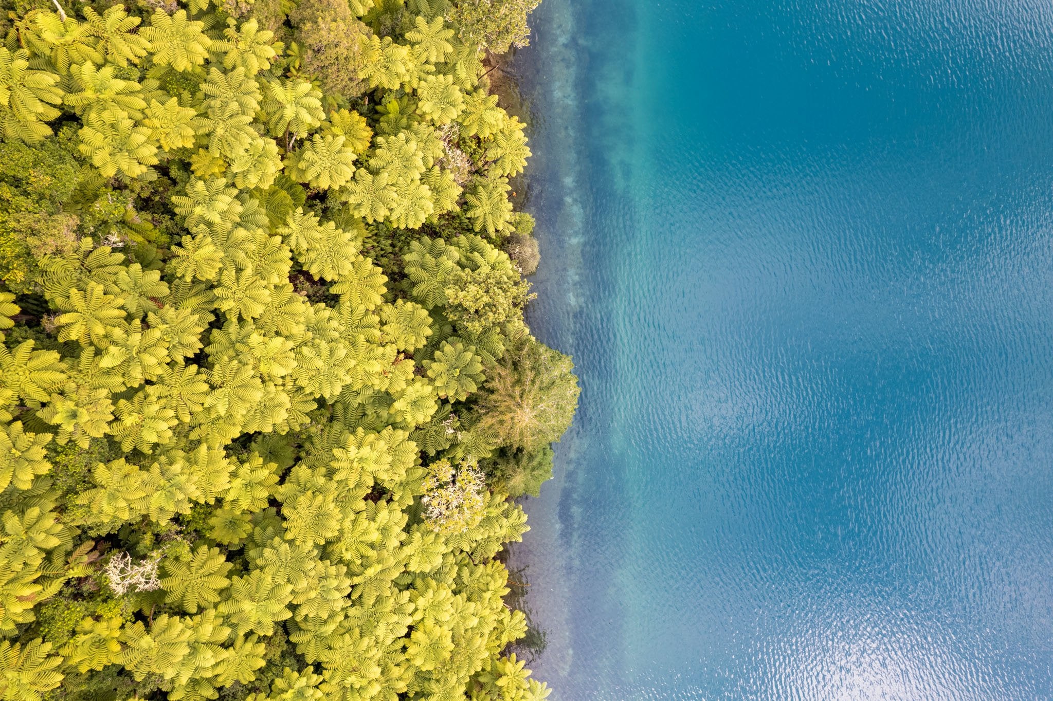 Aerial photo of blue lake in New Zealand – Riptide Prints