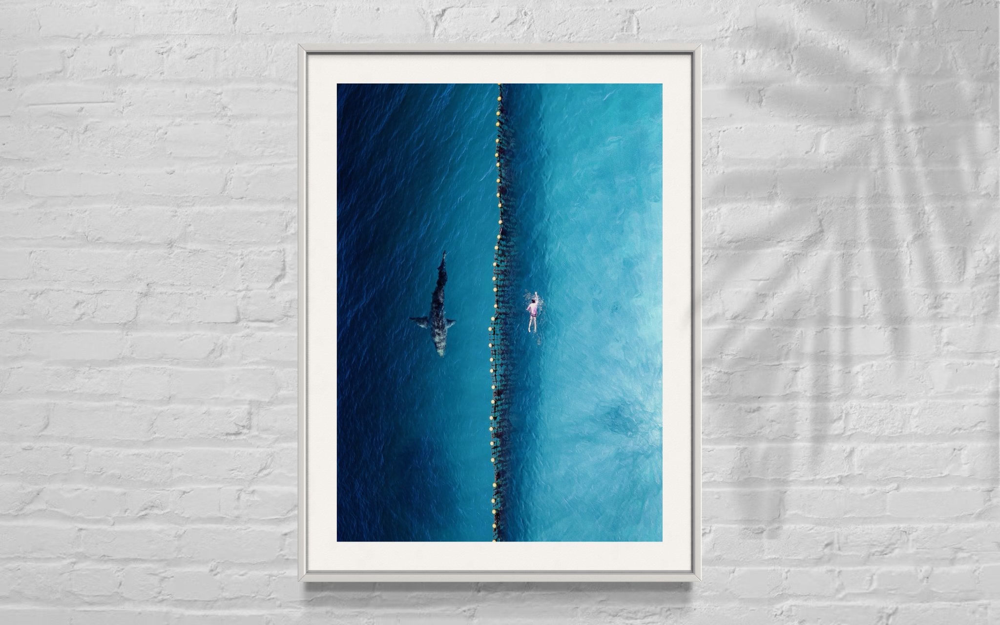 Great White Shark & Swimmer, Cottesloe Beach, Perth – Riptide Prints