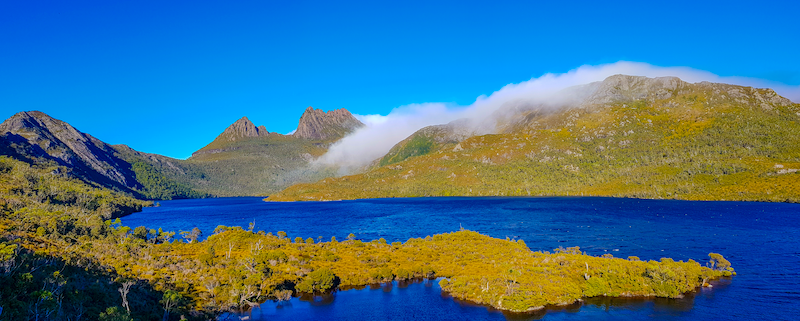 Terry The Turtle Flipping the Bird | Riptide Prints