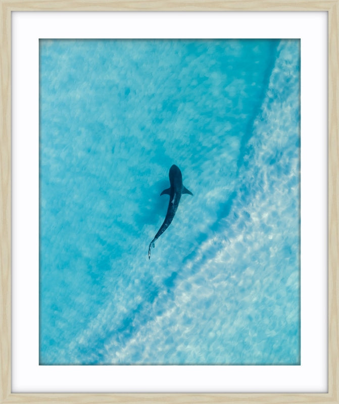 Shark Bay – Riptide Prints