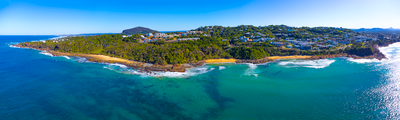 Terry The Turtle Flipping the Bird | Riptide Prints