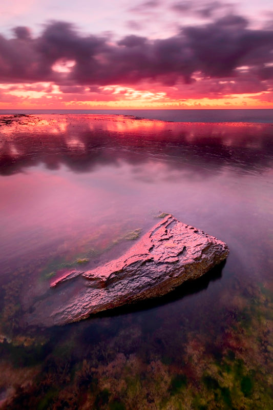 The Rock – Riptide Prints