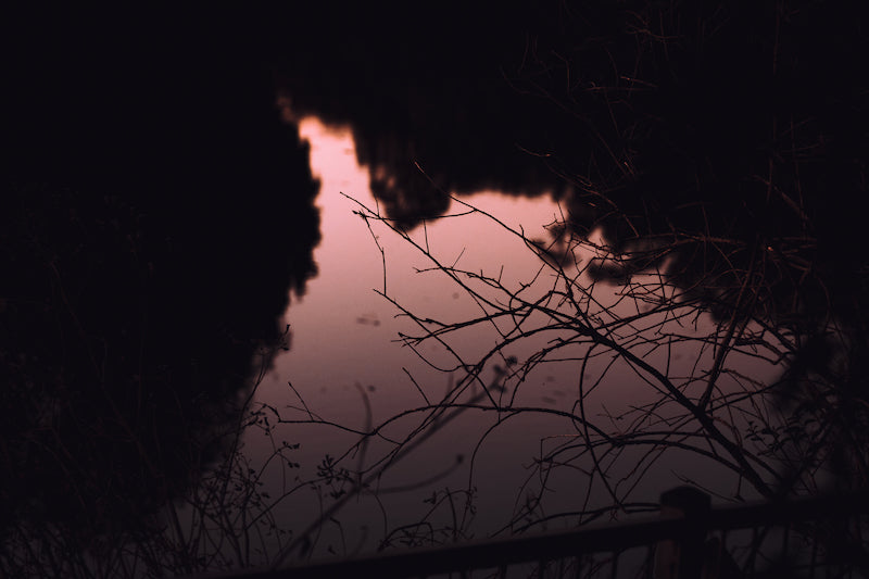 shadow – Riptide Prints