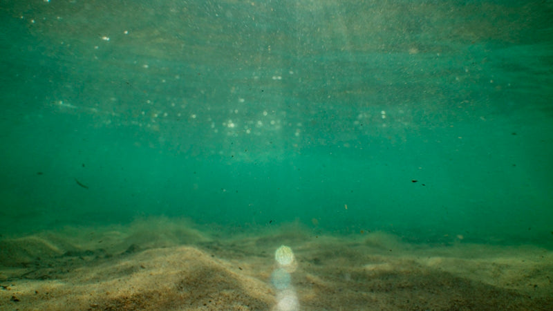 Cabbage Tree Harbour – Riptide Prints
