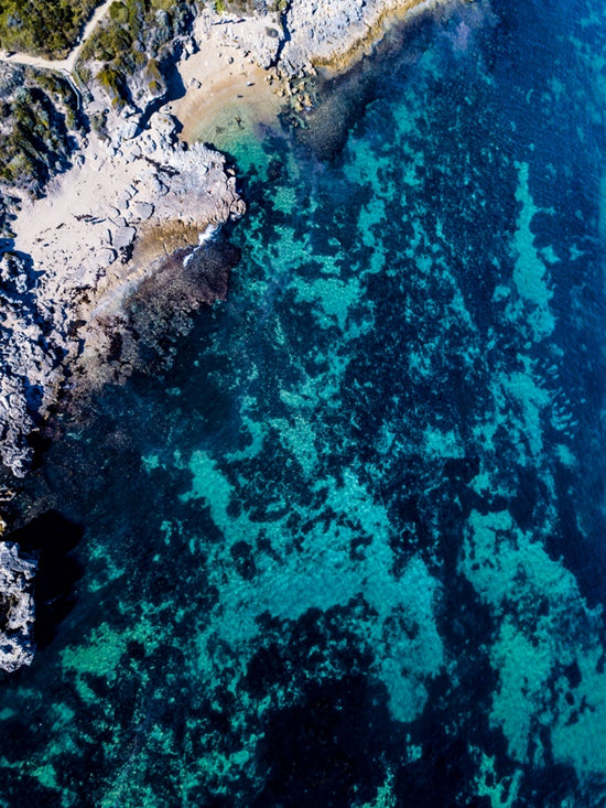 Coastal Reef – Riptide Prints