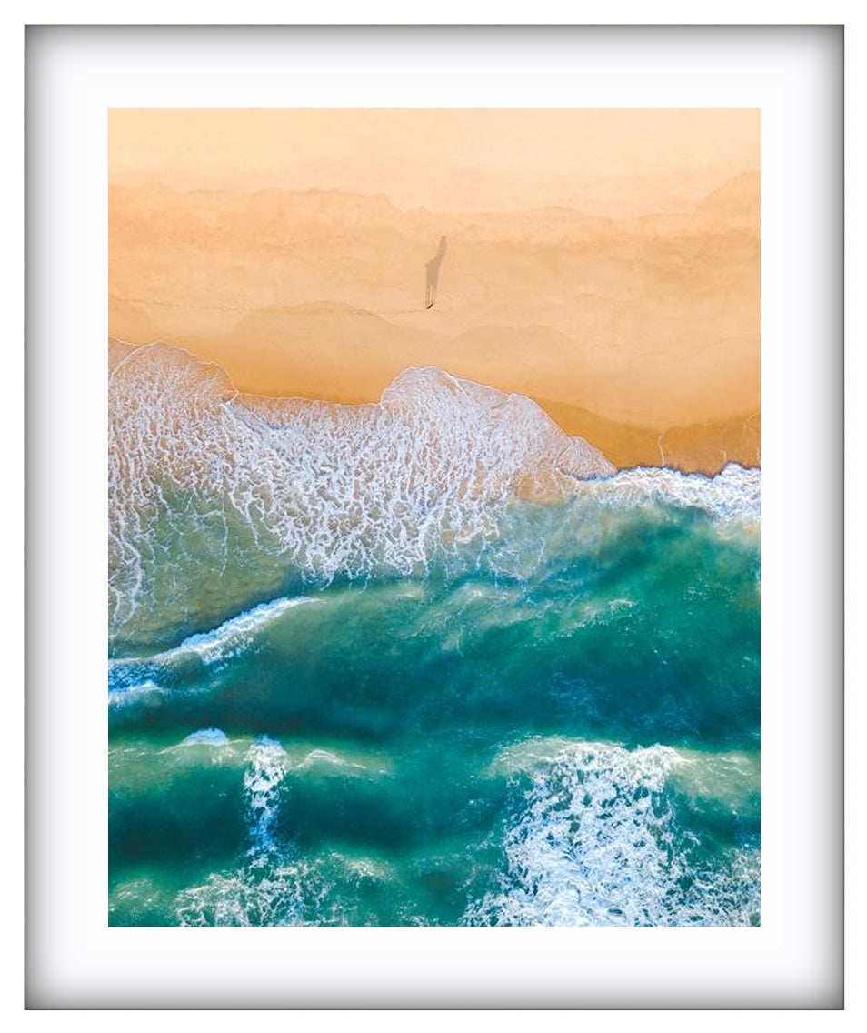 Spot the Dog | Riptide Prints