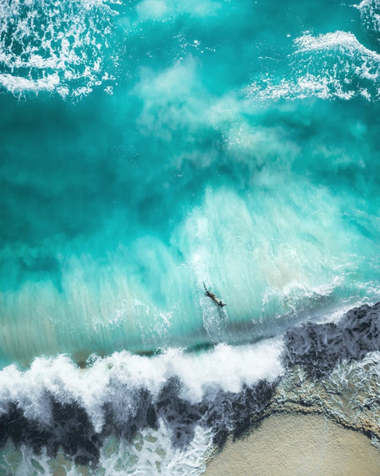 Dogwatch – Riptide Prints