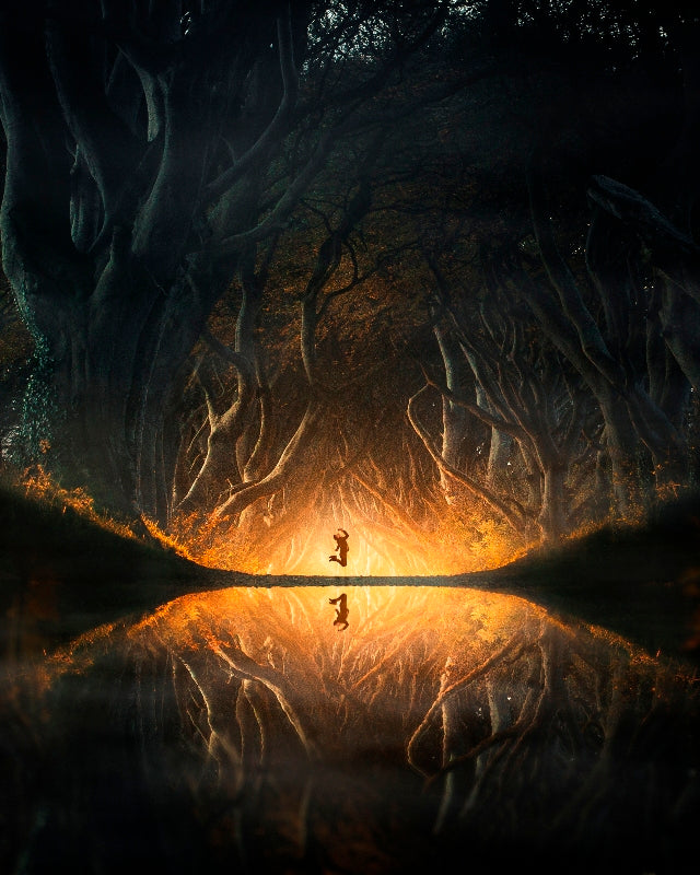 Enchanted Forest – Riptide Prints