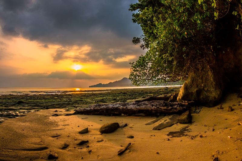 FORGOTTEN BEACH – Riptide Prints