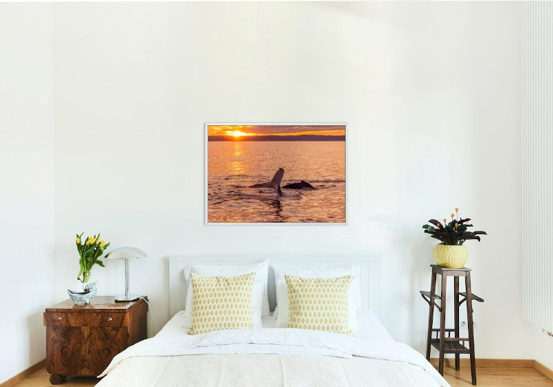 Humpback Sunset – Riptide Prints