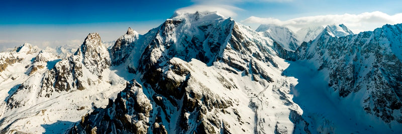 Terry The Turtle Flipping the Bird | Riptide Prints