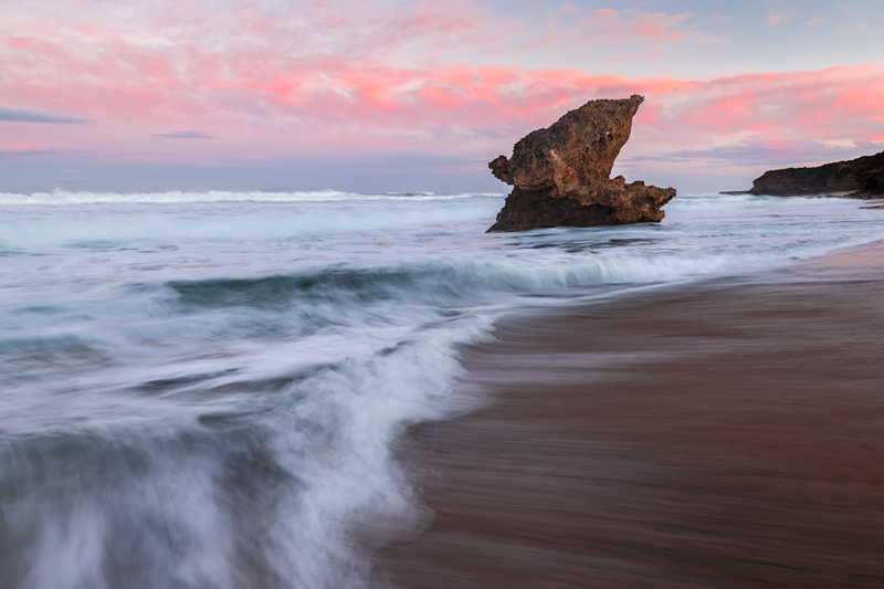 Lizard Rock – Riptide Prints