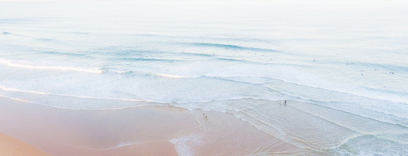 Terry The Turtle Flipping the Bird | Riptide Prints