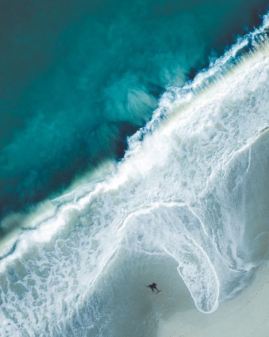 Salty Paws – Riptide Prints