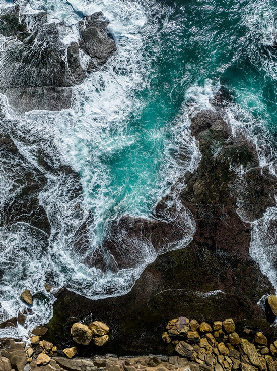 WARRIEWOOD | BLUE – Riptide Prints