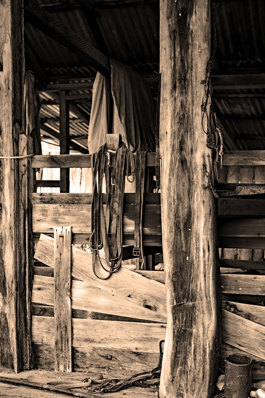 Wool Shed – Riptide Prints