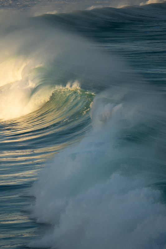 wave – Riptide Prints
